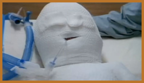 Dave Dave David Rothenberg