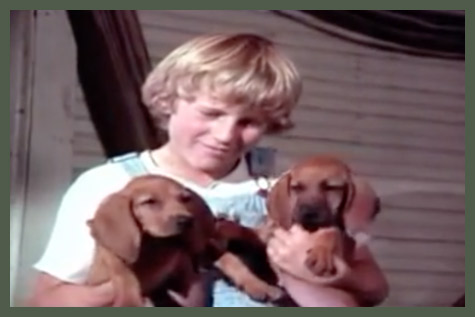 Where The Red Fern Grows Ghost Coon Scene