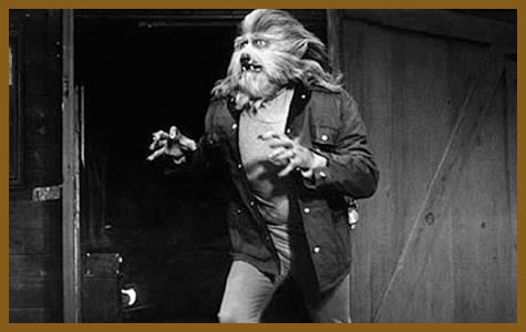 The Boy Who Cried Werewolf 1973 Kindertrauma